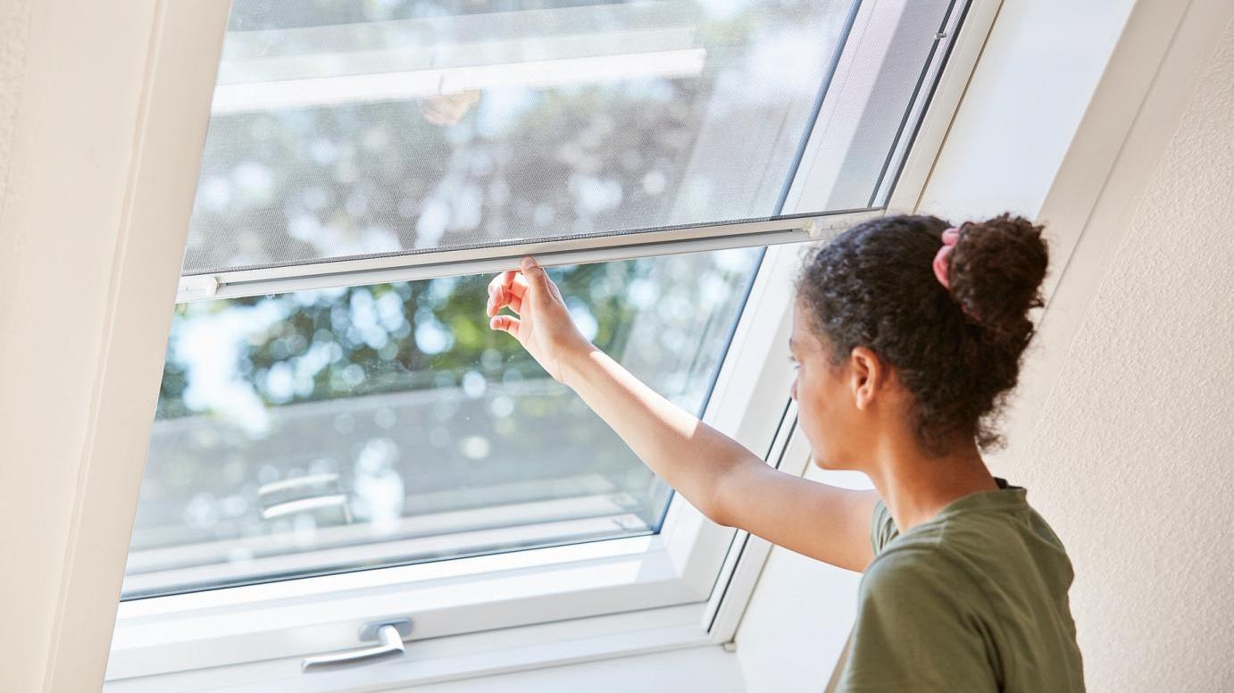 Insect protection: House ban for pests | Roto roof window