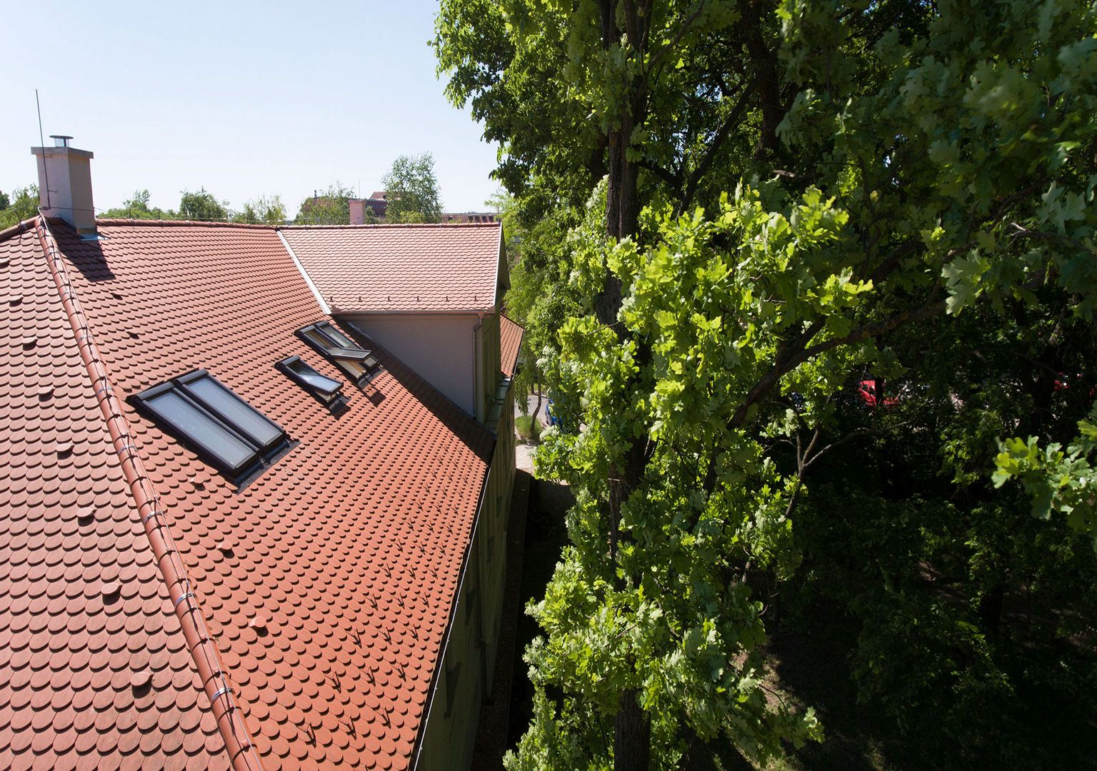 UK | Roto roof window